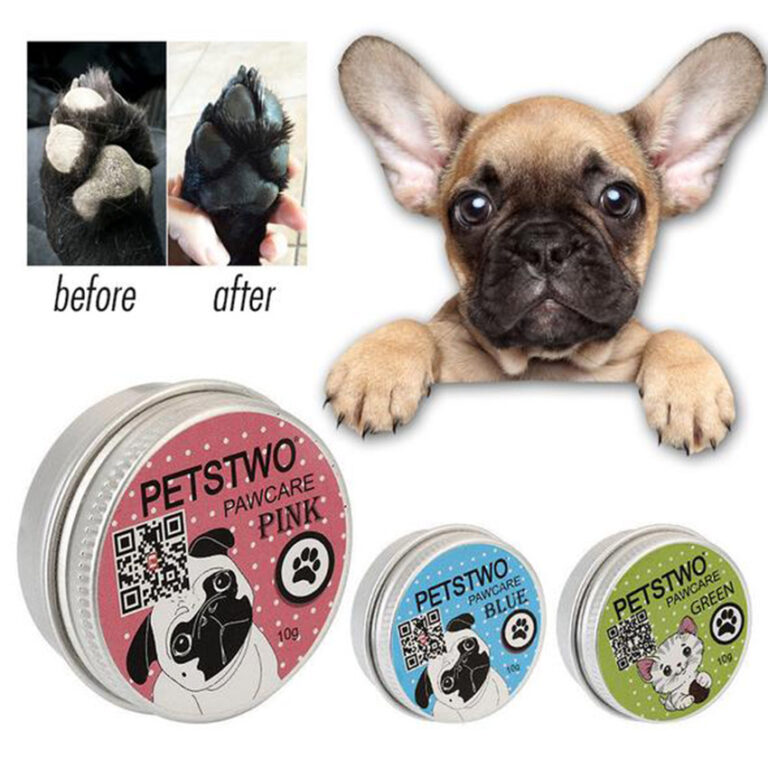 Prevention Of Pododermatitis In French Bulldogs - French Bulldog Breed ...