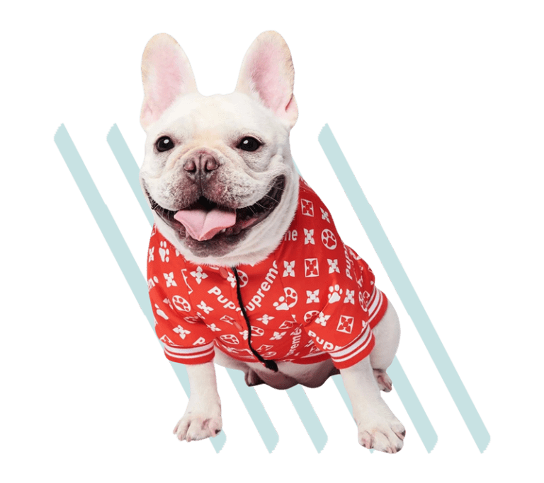French Bulldog Breed Essentials: Shop & Learn