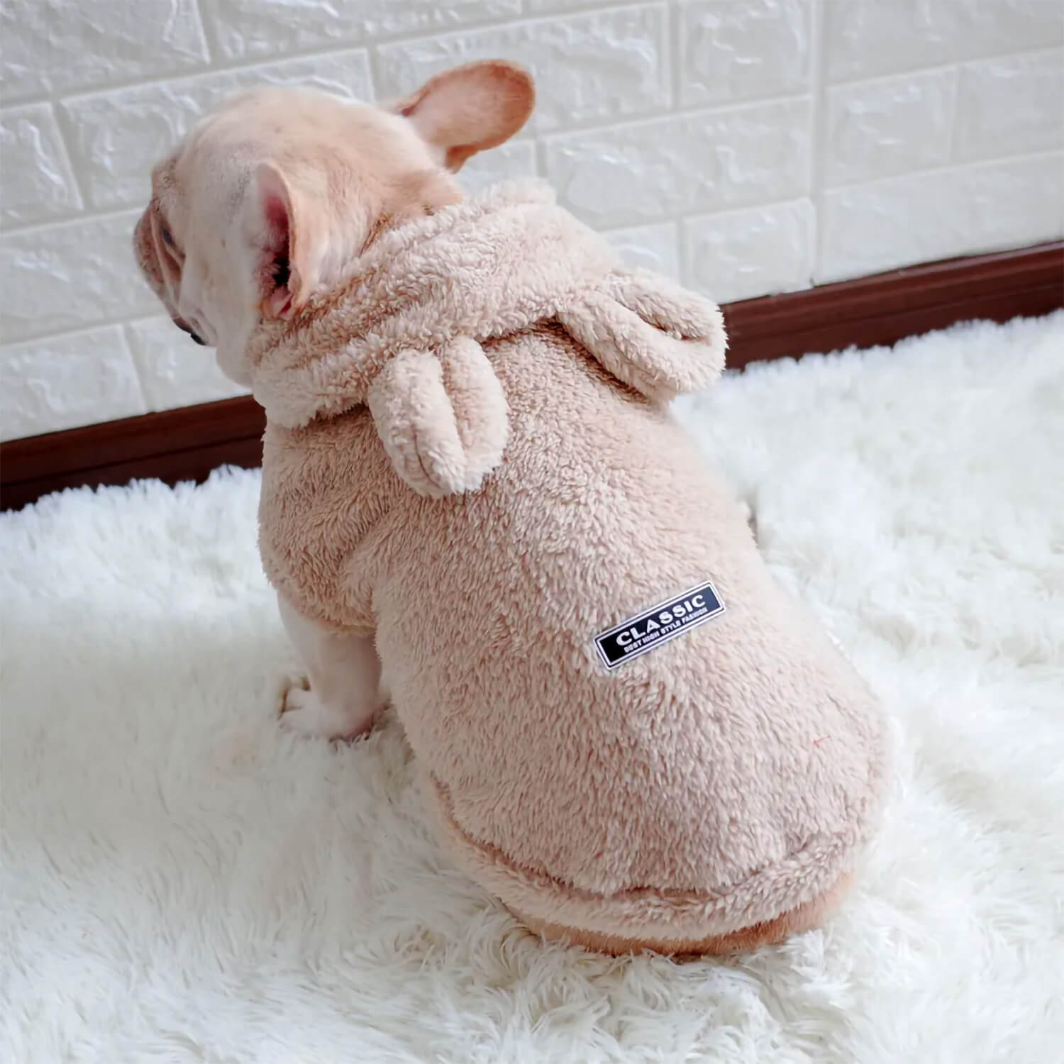 Swagger French Bulldog Clothes: Shop Chic Dog Apparel Now!