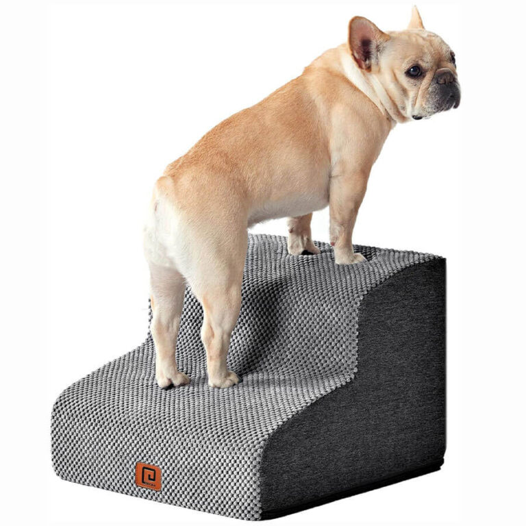Best Dog Step Ramp For Frenchies - Safe & Easy Use