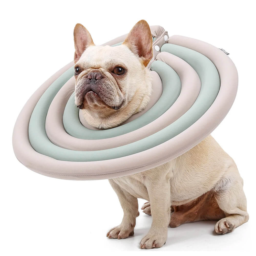 French Bulldog Medical Clothes: Proven Health Solutions