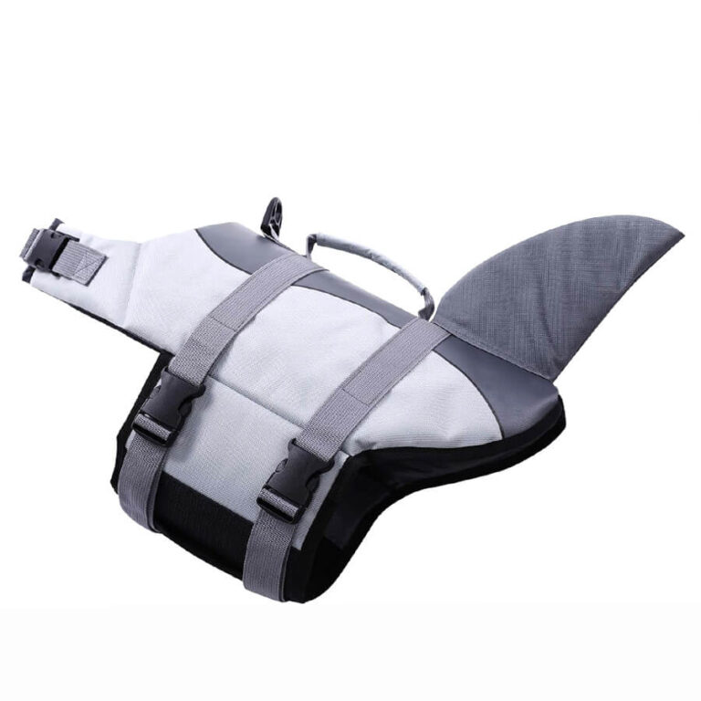 Frenchie Shark Life Jacket: Swim Safe & Stylish